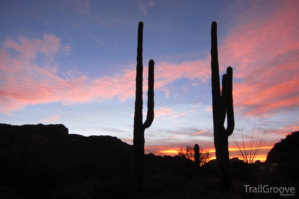 Desert Bliss: Hiking Organ Pipe Cactus National Monument – TrailGroove Blog